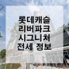 자양동 아파트 전세 찾고 있다면 롯데캐슬 리버파크 시그니처부터 네이버 블로그